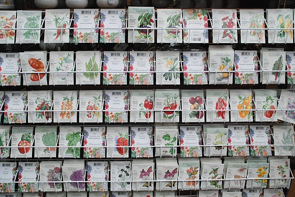 Understanding Plant Tags & Seed Packets to Increase Your Gardening Success