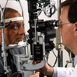 Dale Chihuly – Legendary Master of Glass