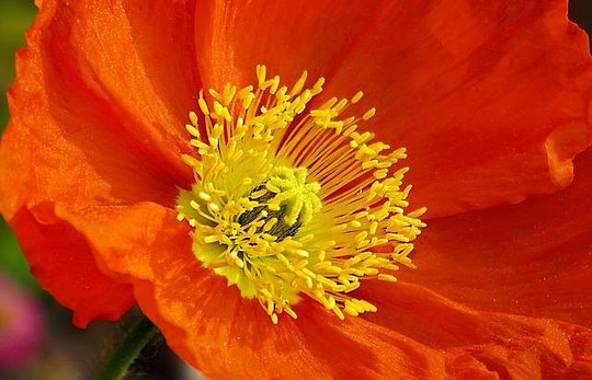 Northwest Prime Time